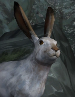 Sylvi's Hare | TTGOT Season 2 AU Wikia | Fandom