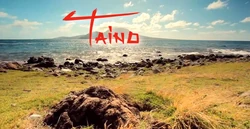 Taino | TTJ'sSurvivor Wiki | Fandom