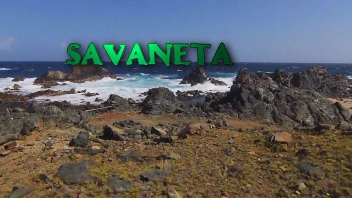 Savaneta | TTJ'sSurvivor Wiki | Fandom