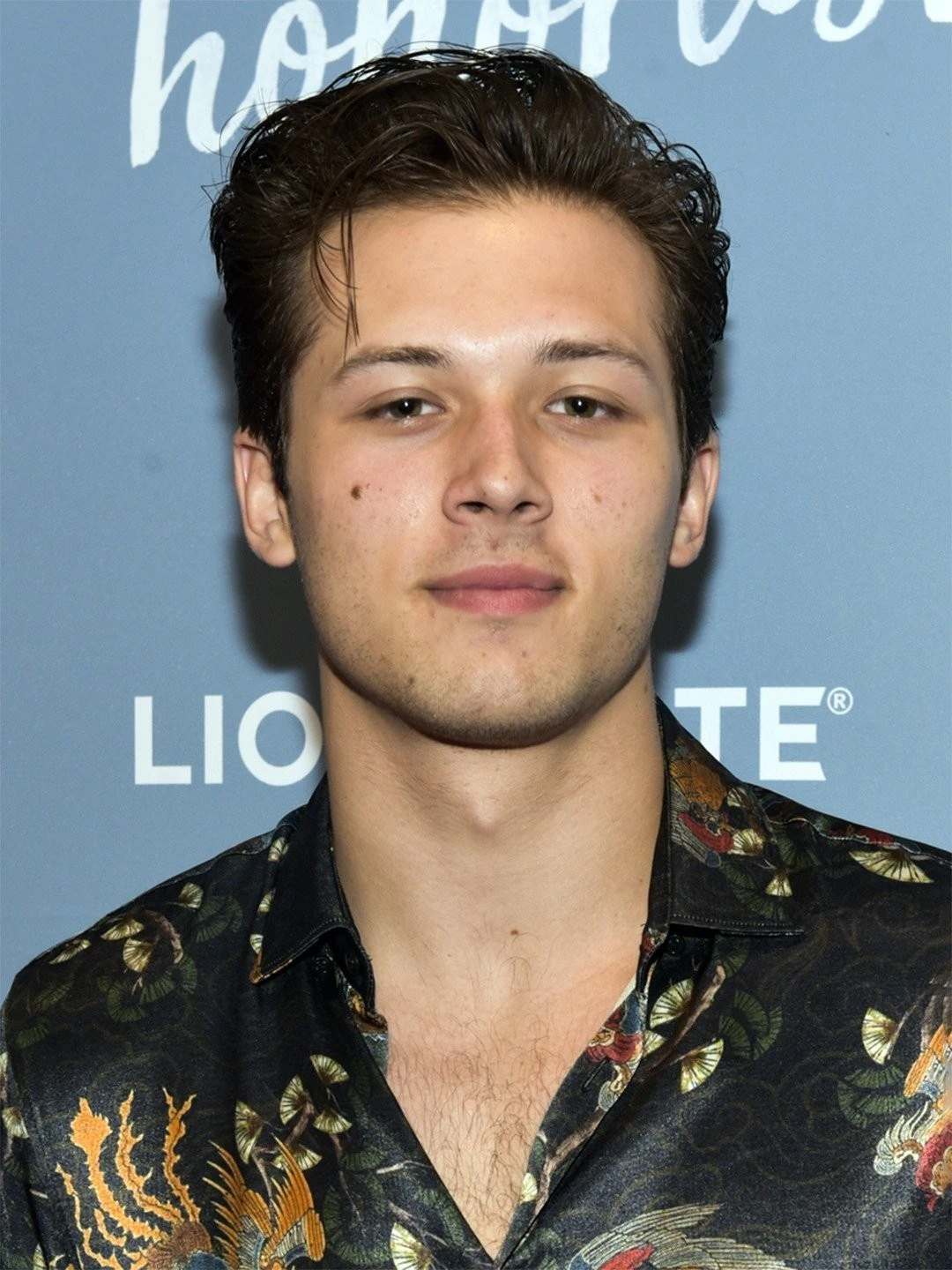 Leo Howard | The TTS Wiki | Fandom