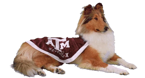 Reveille X | The TTS Wiki | Fandom
