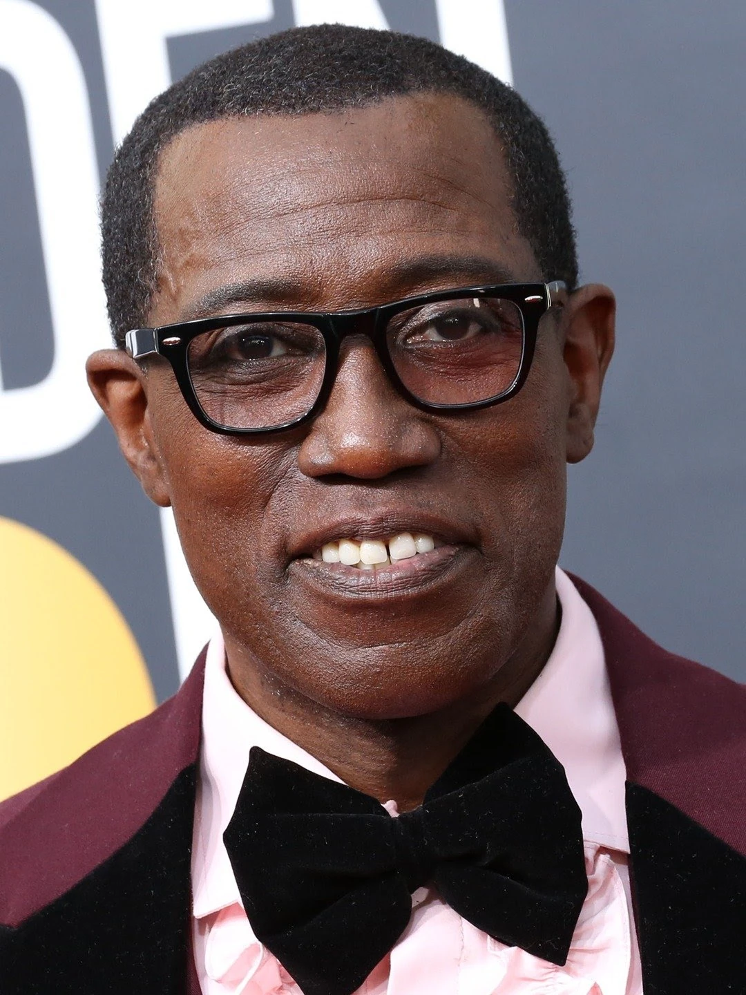 Wesley Snipes | The TTS Wiki | Fandom