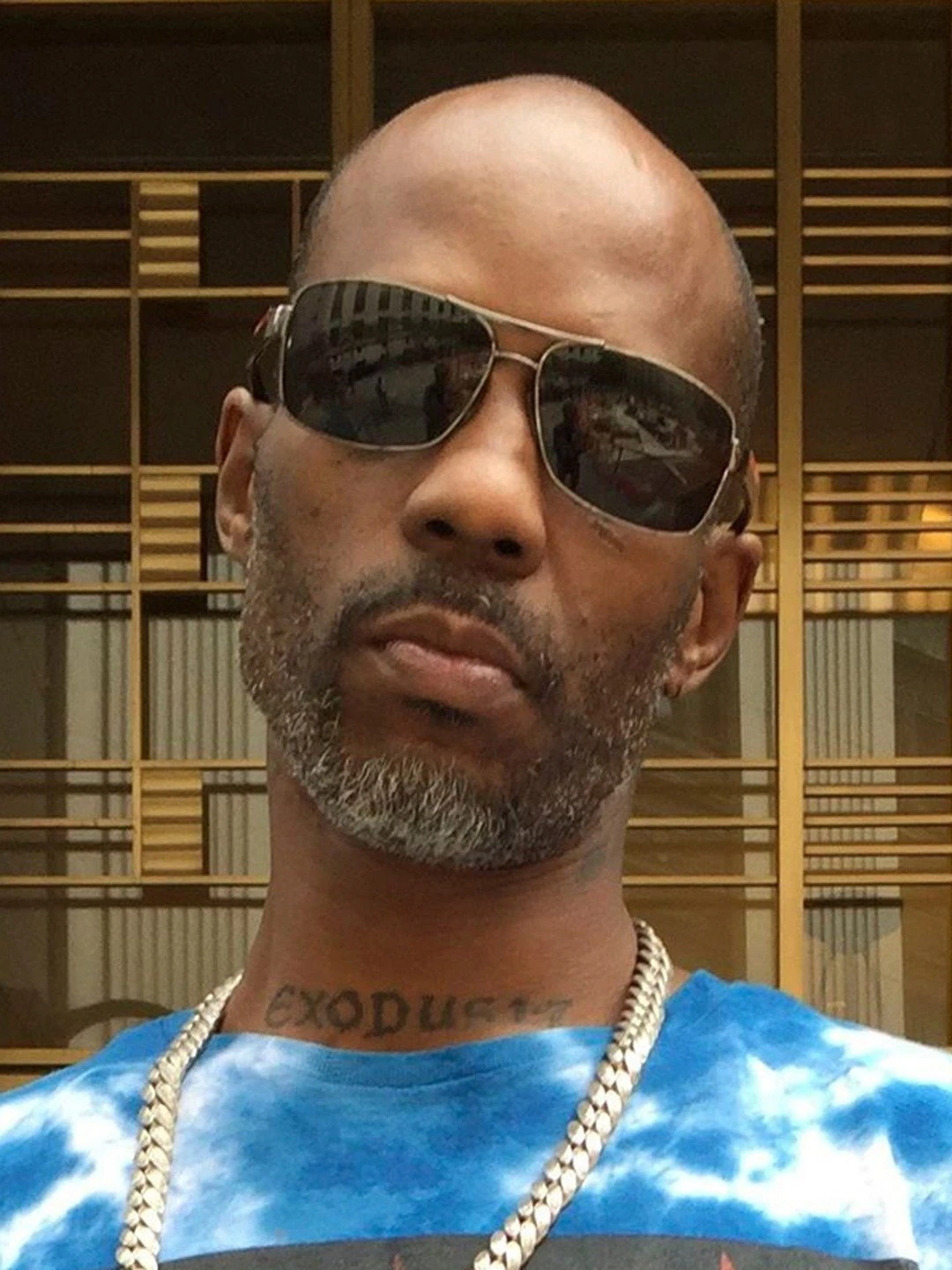 DMX | The TTS Wiki | Fandom