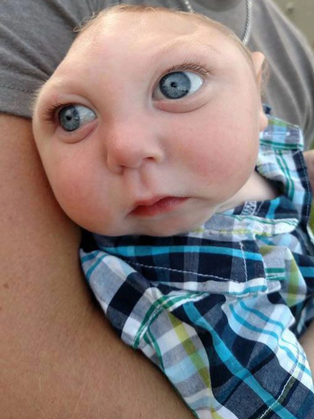 Jaxon Buell | The TTS Wiki | Fandom