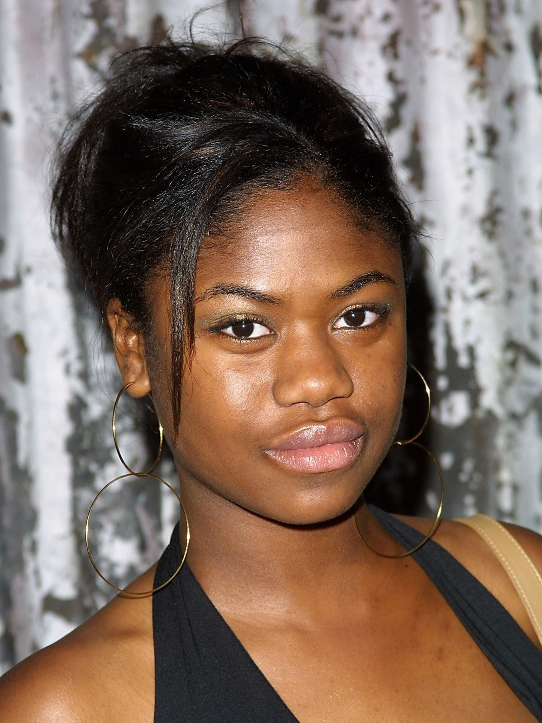Vanessa Lee Chester | The TTS Wiki | Fandom