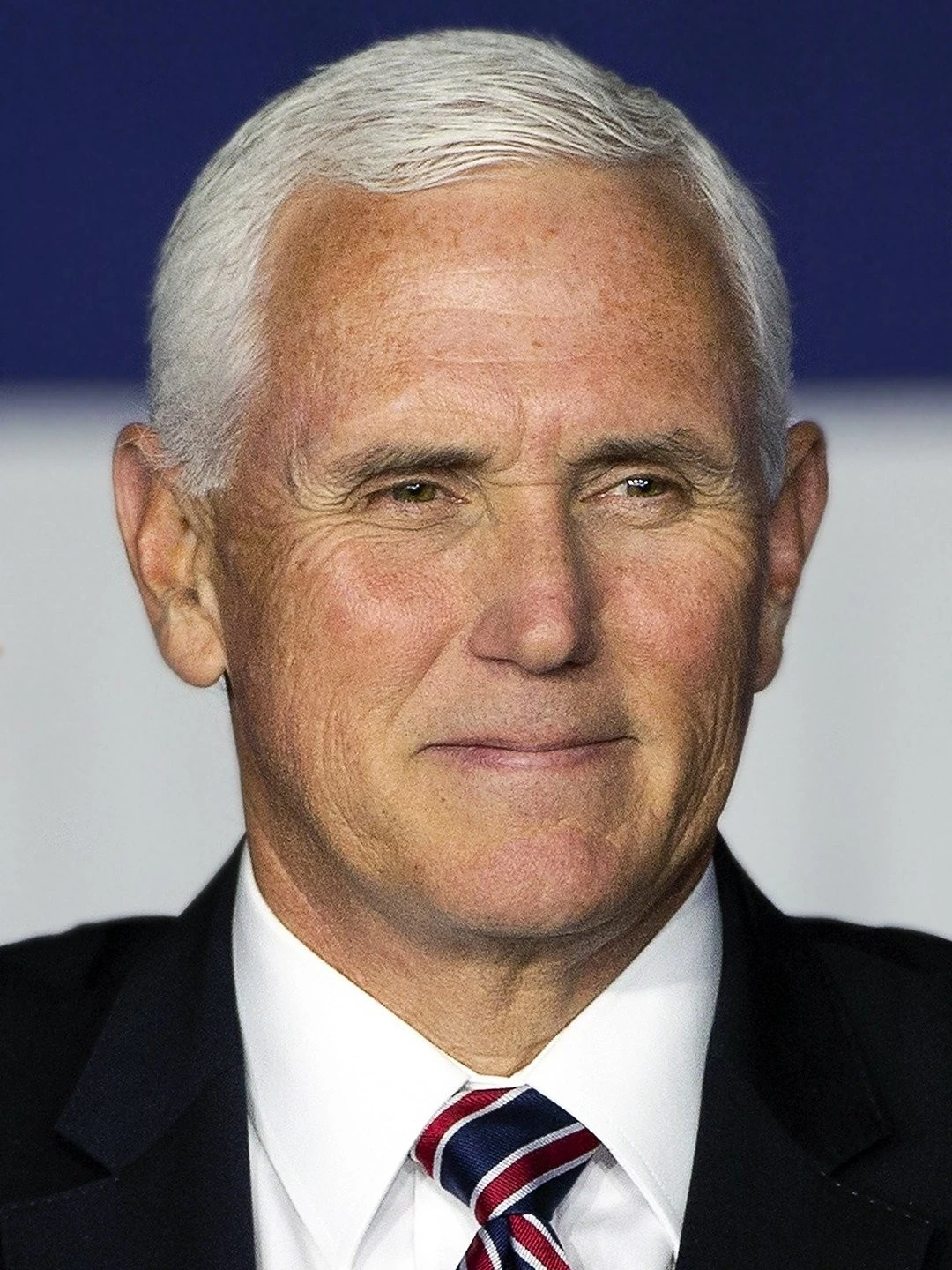 Mike Pence | The TTS Wiki | Fandom