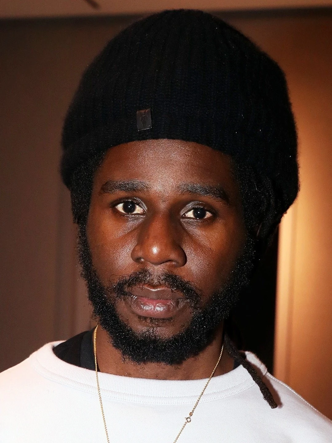Chronixx | The TTS Wiki | Fandom