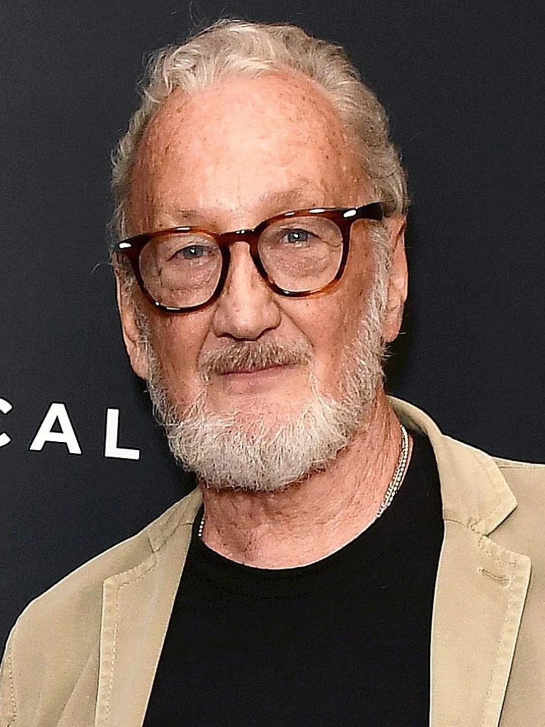 Robert Englund | The TTS Wiki | Fandom
