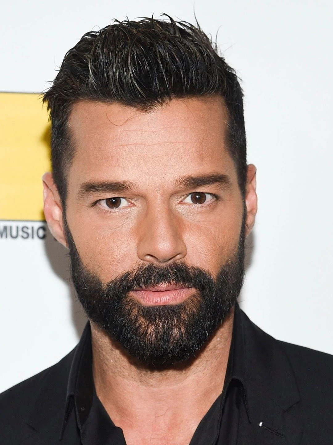 Ricky Martin | The TTS Wiki | Fandom
