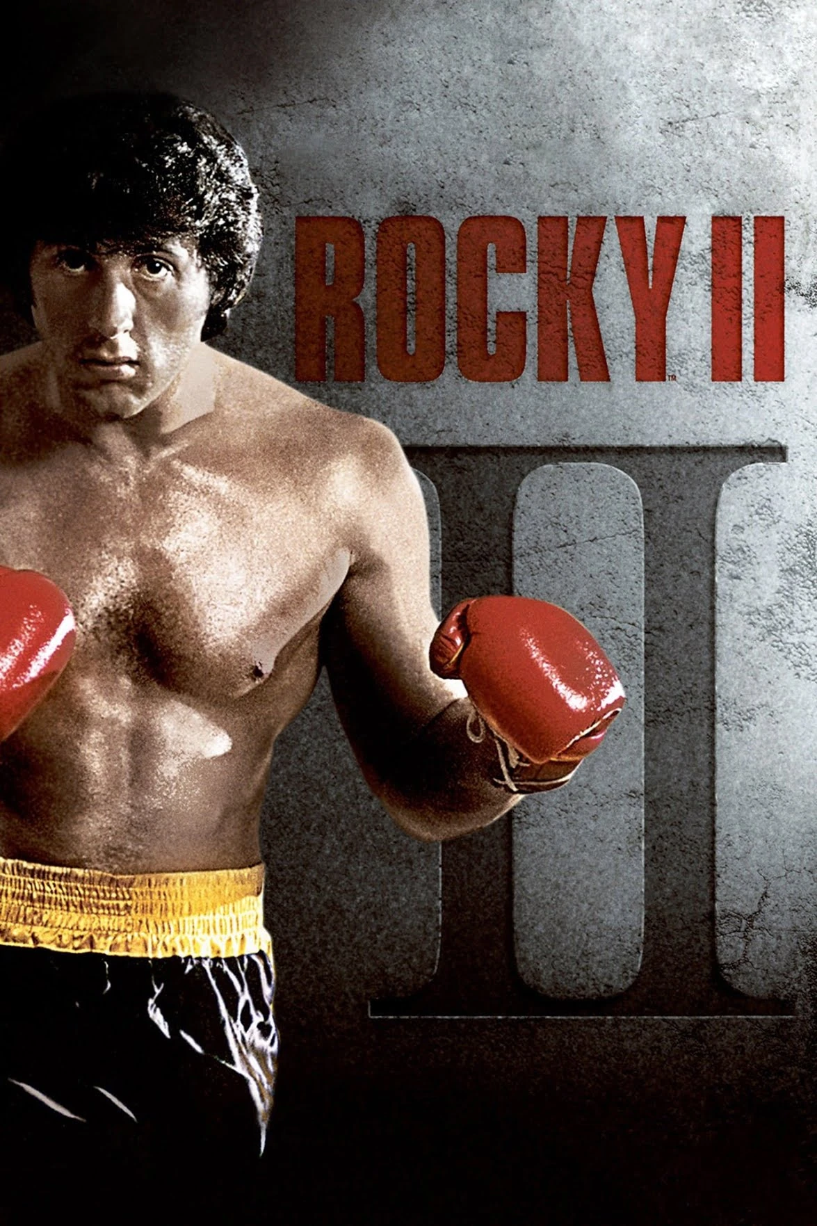 Rocky II | The TTS Wiki | Fandom