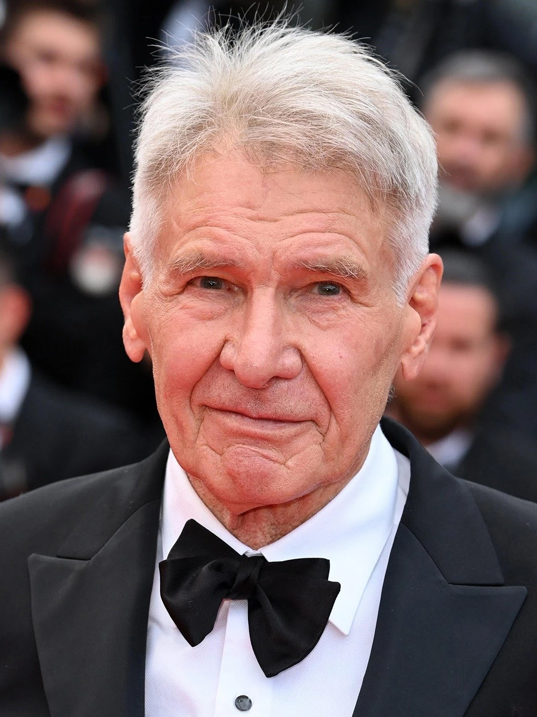 Harrison Ford | The TTS Wiki | Fandom