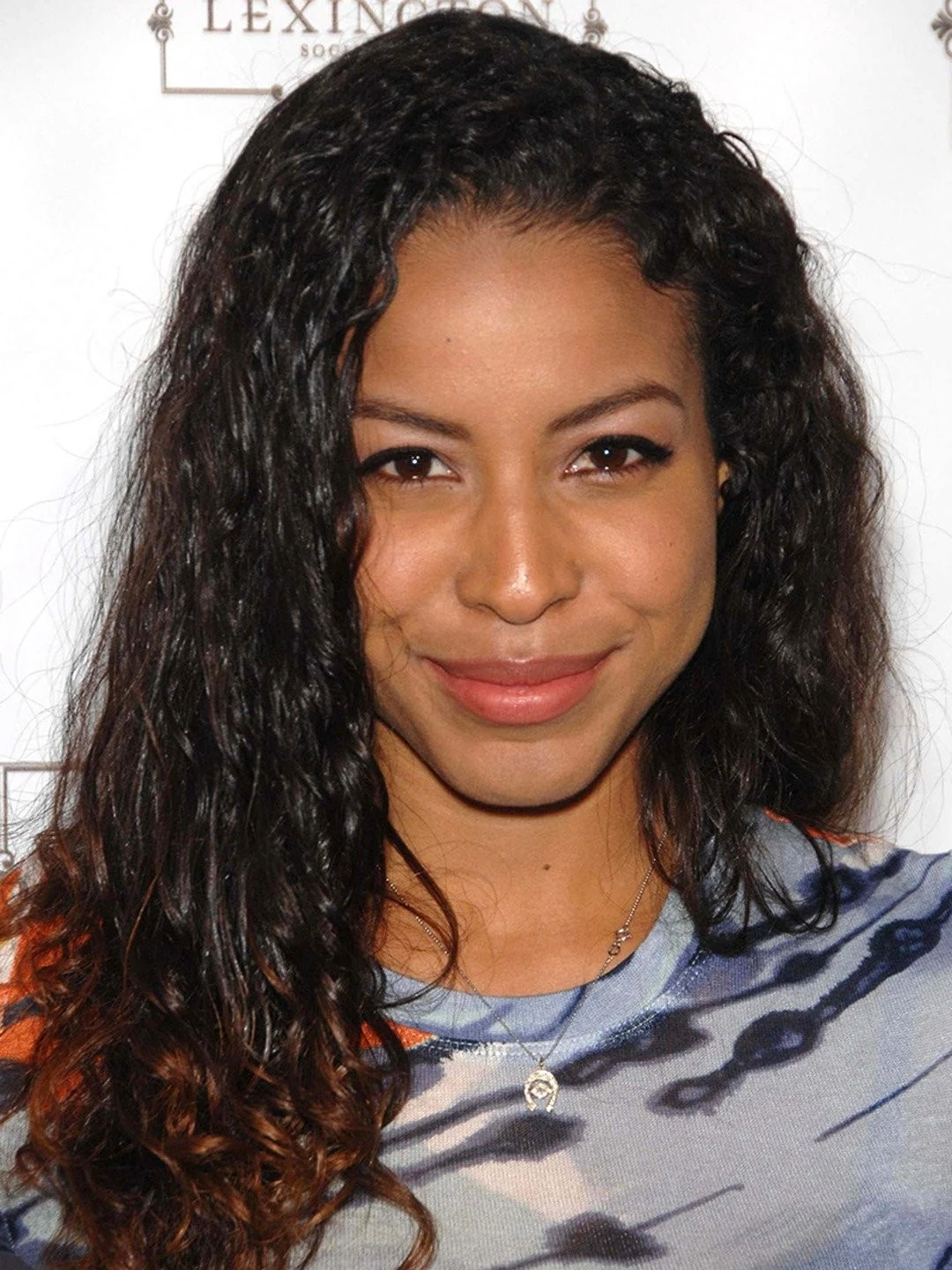 Lisa Tucker (singer) | The TTS Wiki | Fandom