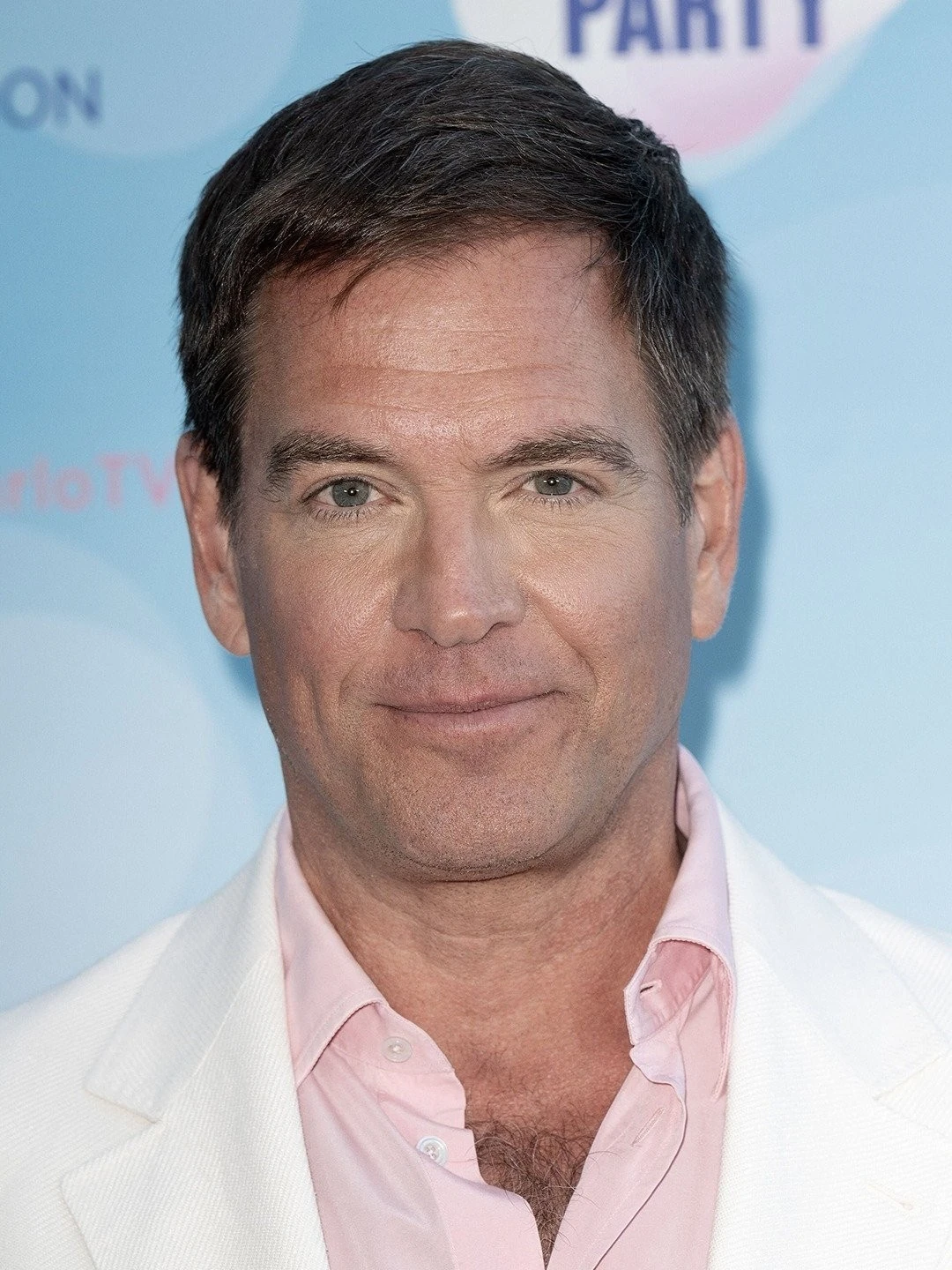 Michael Weatherly The Tts Wiki Fandom