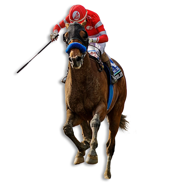 Practical Move | The TTS Wiki | Fandom