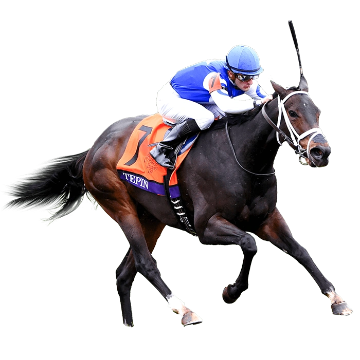Tepin | The TTS Wiki | Fandom