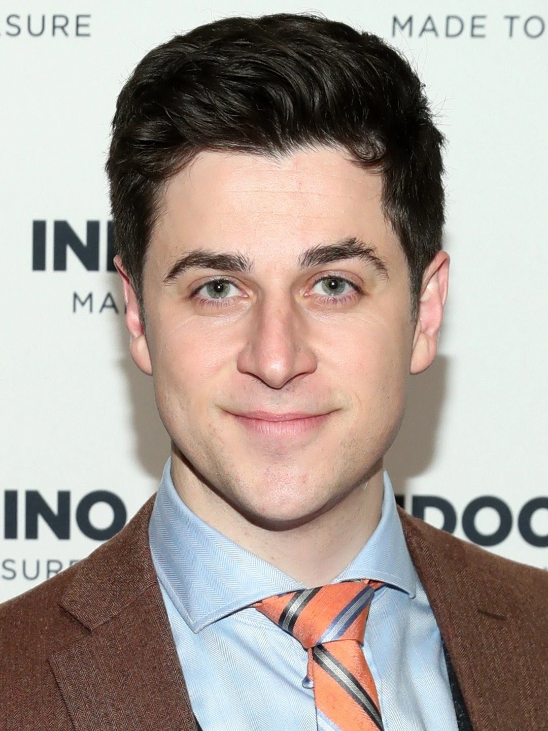 David Henrie | The TTS Wiki | Fandom