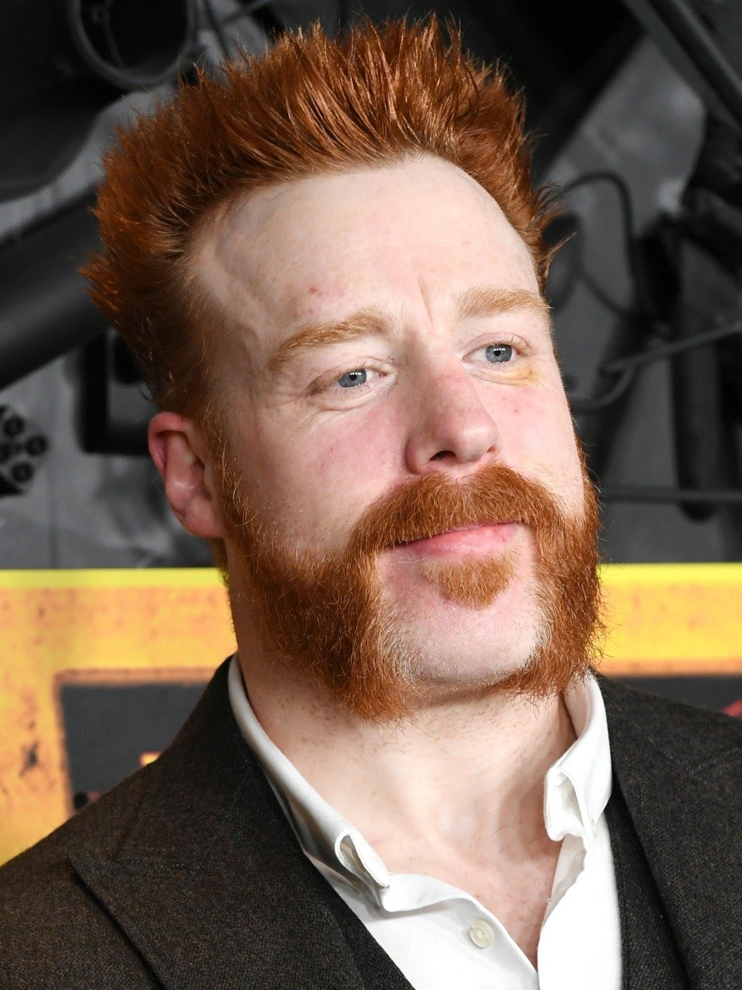 Sheamus | The TTS Wiki | Fandom
