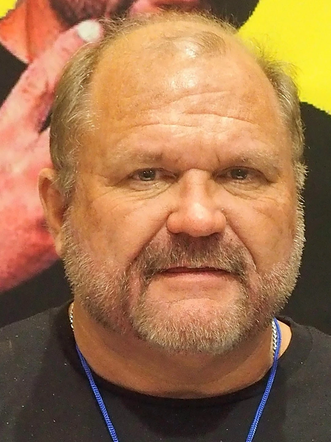 Arn Anderson | The TTS Wiki | Fandom