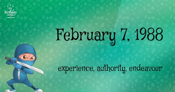 February 7, 1988 | The TTS Wiki | Fandom