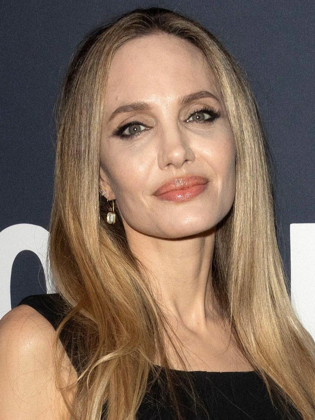 Angelina Jolie | The TTS Wiki | Fandom