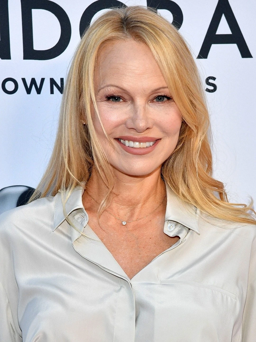 Pamela Anderson | The TTS Wiki | Fandom