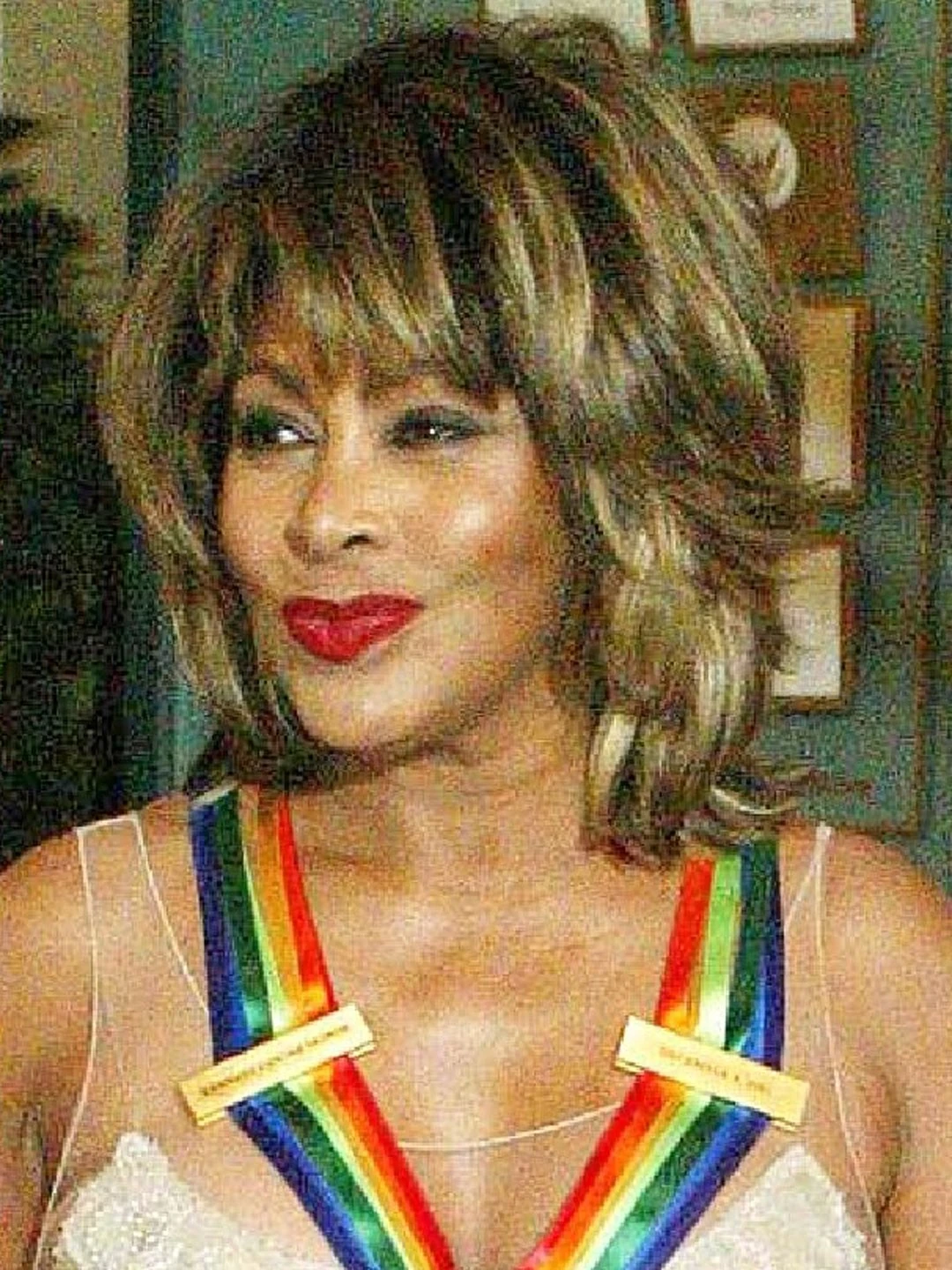 Tina Turner | The TTS Wiki | Fandom