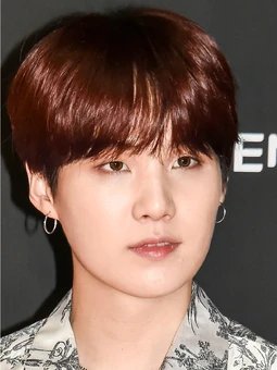 Suga | The TTS Wiki | Fandom