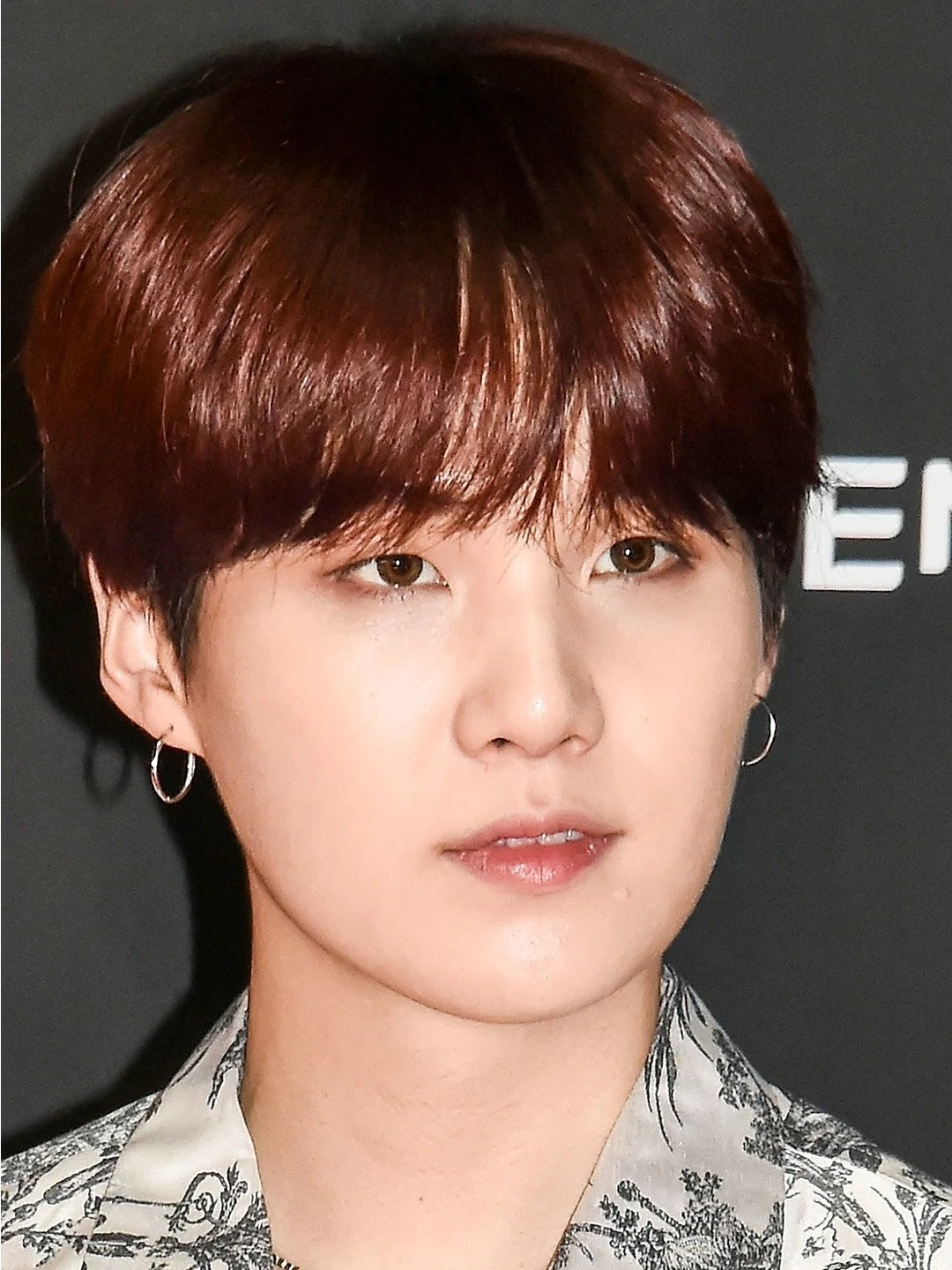 Suga | The TTS Wiki | Fandom