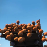 Thomas and the Monkeys | Thomas the Tank Engine Wiki | Fandom