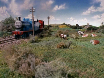 The Cow Field (T&F) | Thomas the Tank Engine Wiki | Fandom