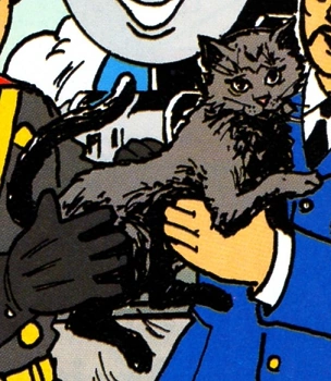 Cats | Thomas the Tank Engine Wiki | Fandom