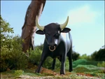 Animals (T&F) | Thomas the Tank Engine Wiki | Fandom