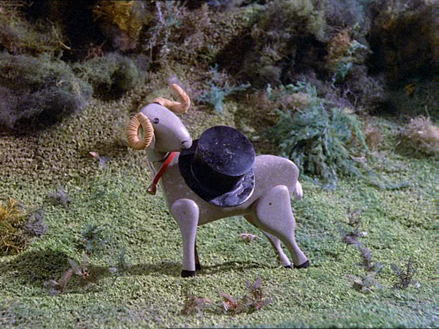 Animals (T&F) | Thomas the Tank Engine Wikia | Fandom