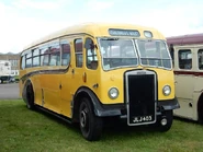 Buses (T&F) | Thomas the Tank Engine Wiki | Fandom