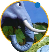 Elephants (T&F)/Gallery | Thomas the Tank Engine Wiki | Fandom