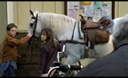 Horses (T&F)/Gallery | Thomas the Tank Engine Wiki | Fandom