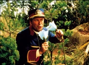 Bellflower | Thomas the Tank Engine Wiki | Fandom