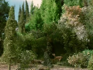 Henry's Forest/Gallery | Thomas the Tank Engine Wikia | Fandom