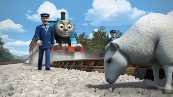 Very Important Sheep (magazine story) | Thomas the Tank Engine Wiki ...