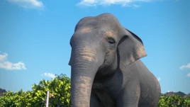 Elephants (T&F) | Thomas the Tank Engine Wiki | Fandom