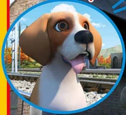 Thomas' Fuzzy Friend (annual story) | Thomas the Tank Engine Wiki | Fandom