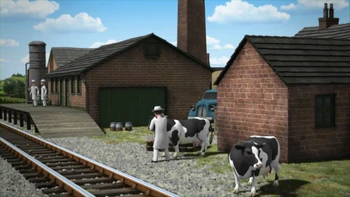 Cattle (T&F) | Thomas the Tank Engine Wiki | Fandom