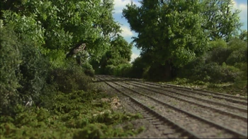 Henry's Forest | Thomas the Tank Engine Wiki | Fandom