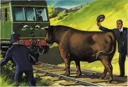 Cattle (RWS) | Thomas the Tank Engine Wiki | Fandom