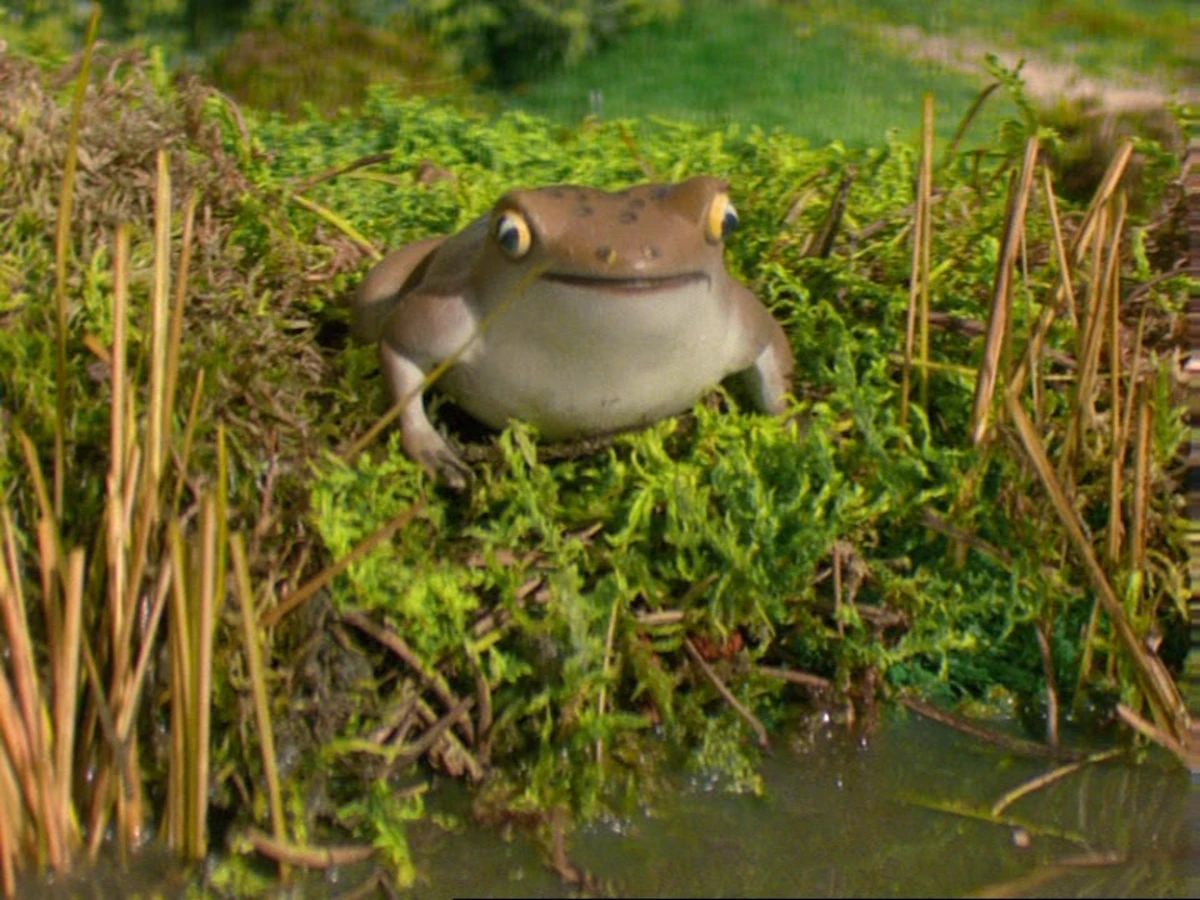 Animals (T&F) | Thomas the Tank Engine Wiki | Fandom