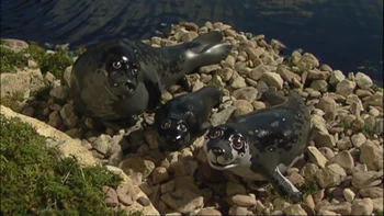 Emily's New Route | Thomas the Tank Engine Wiki | Fandom