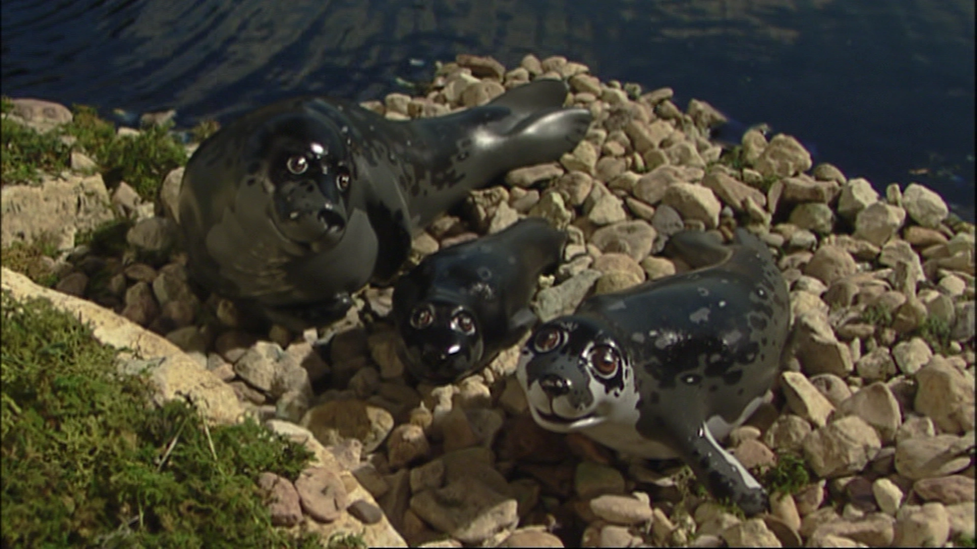 Discuss Everything About Thomas the Tank Engine Wiki | Fandom