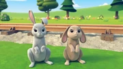 Animals (T&F) | Thomas the Tank Engine Wiki | Fandom
