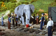 Elephants (T&F)/Gallery | Thomas the Tank Engine Wiki | Fandom