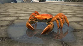 Fish (T&F) | Thomas the Tank Engine Wiki | Fandom